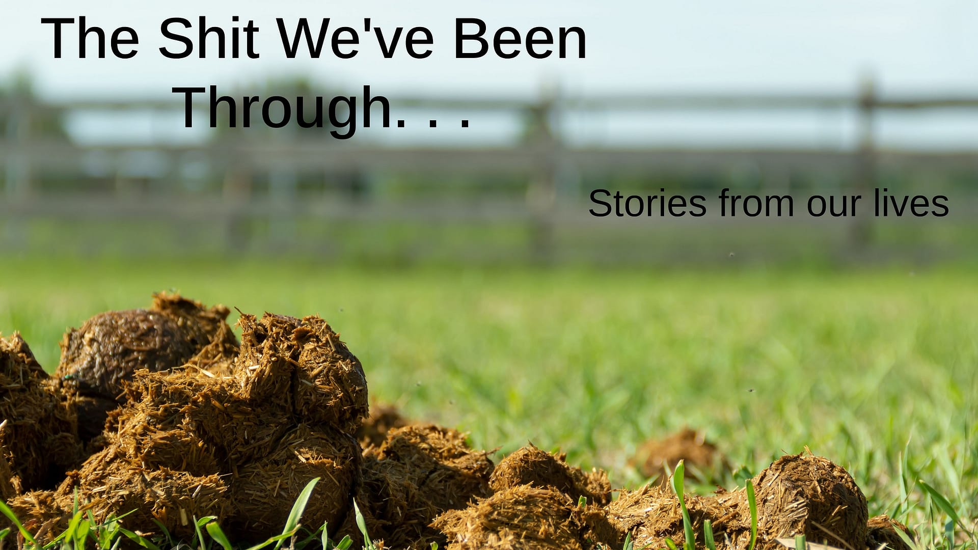 The Shit We've Been Through. . .. Stories from our lives.